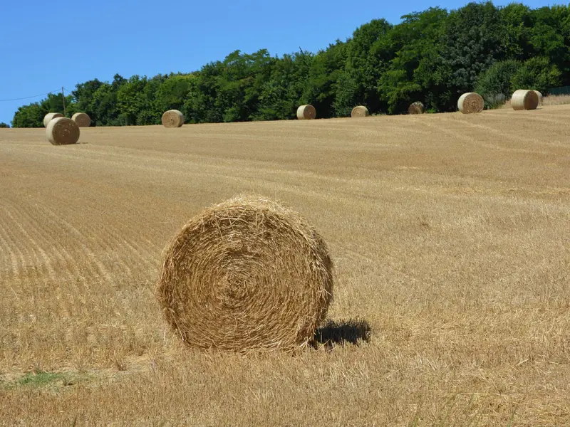 Why Choose Our Award-Winning HI D PRAg Grass Ley Range?